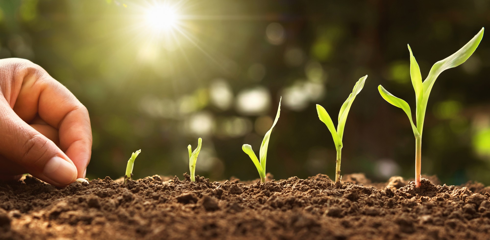 Precision Farming Full Guide AGRIVI Precision Farming Full Guide AGRIVI