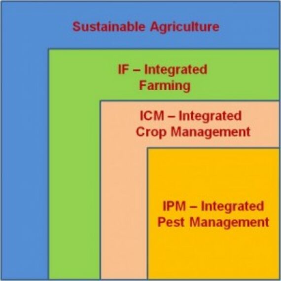 Integrated Farming Practices with AGRIVI Farm Management System