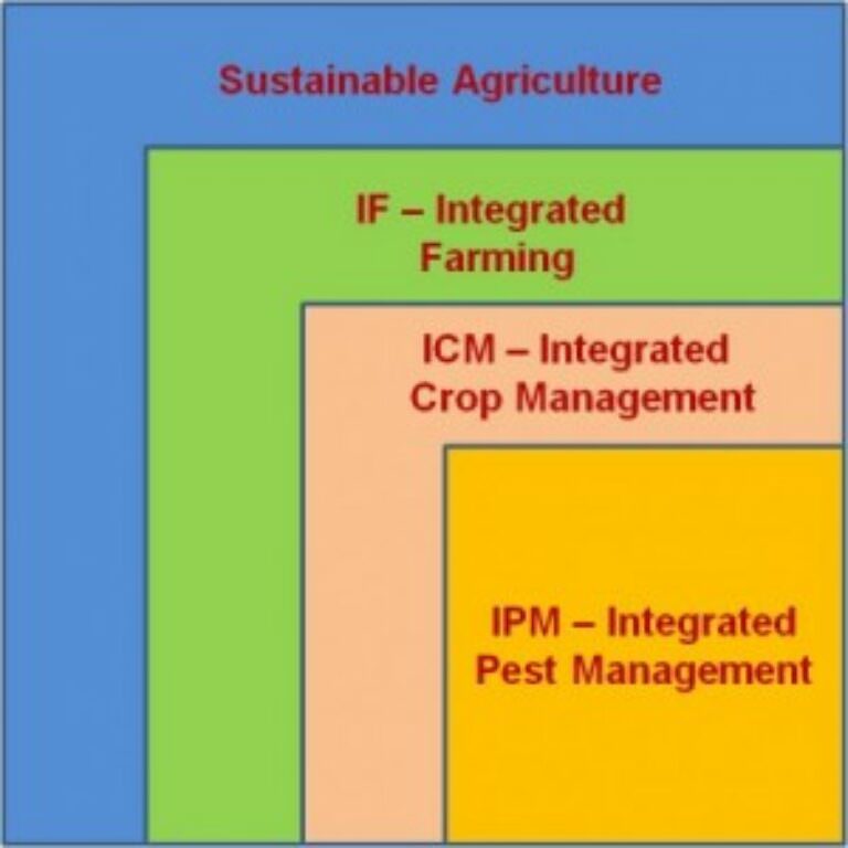 Integrated Farming Practices With Agrivi Farm Management System